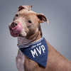 The Real MVP Dog Bandana | Brass Monkey Goods